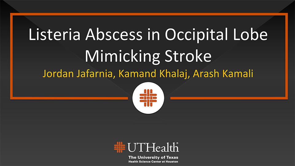 2024 Educational Exhibits - Southeastern Neuroradiological Society